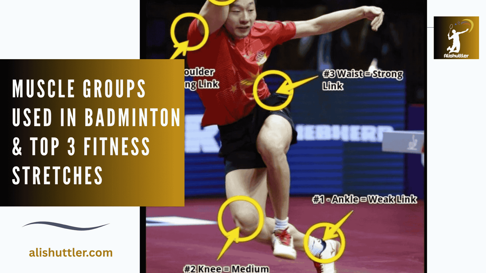 Muscle Groups Used in Badminton & Top 3 Fitness Stretches