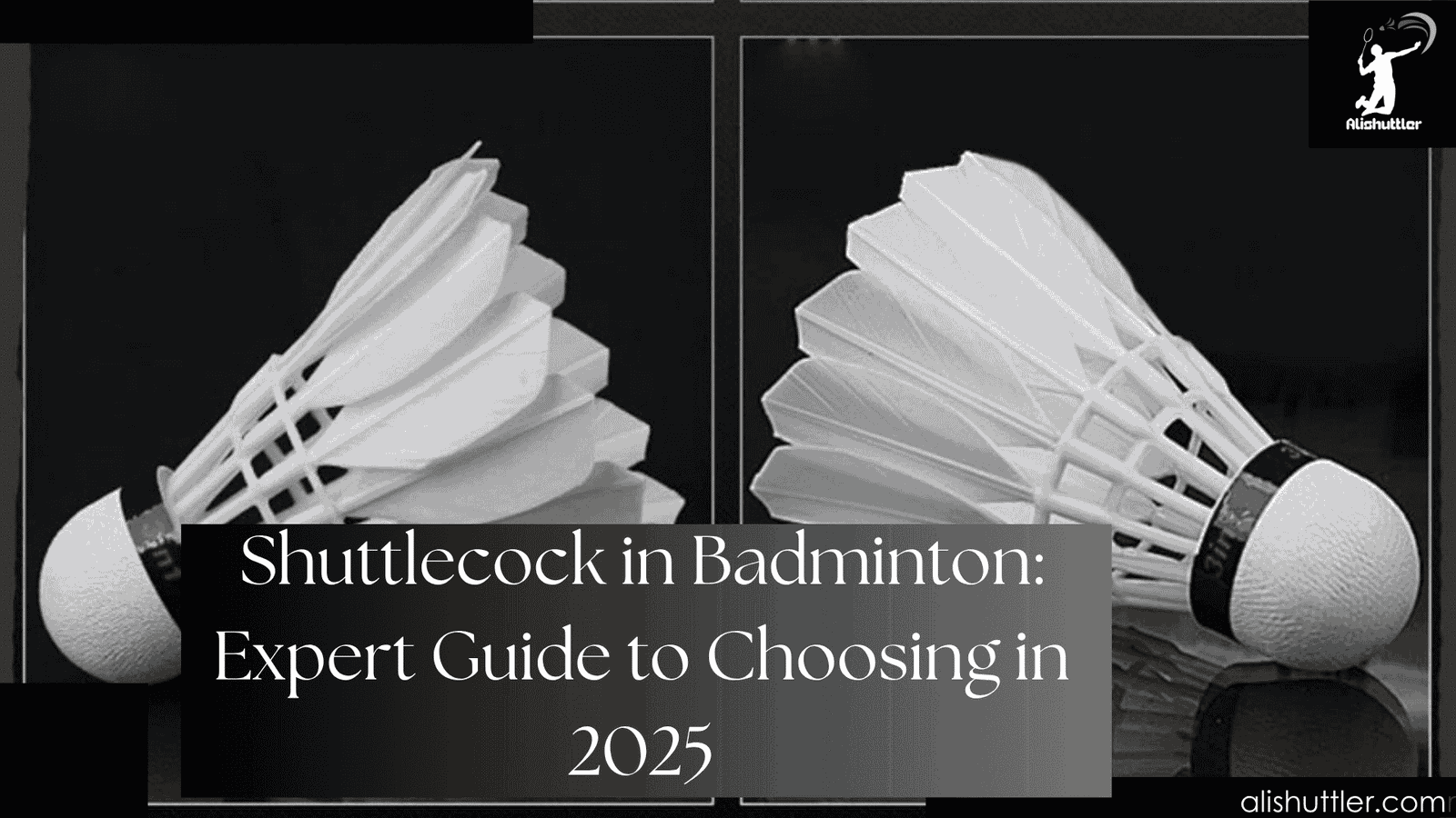 Shuttlecock in Badminton: Expert Guide to Choosing in 2026